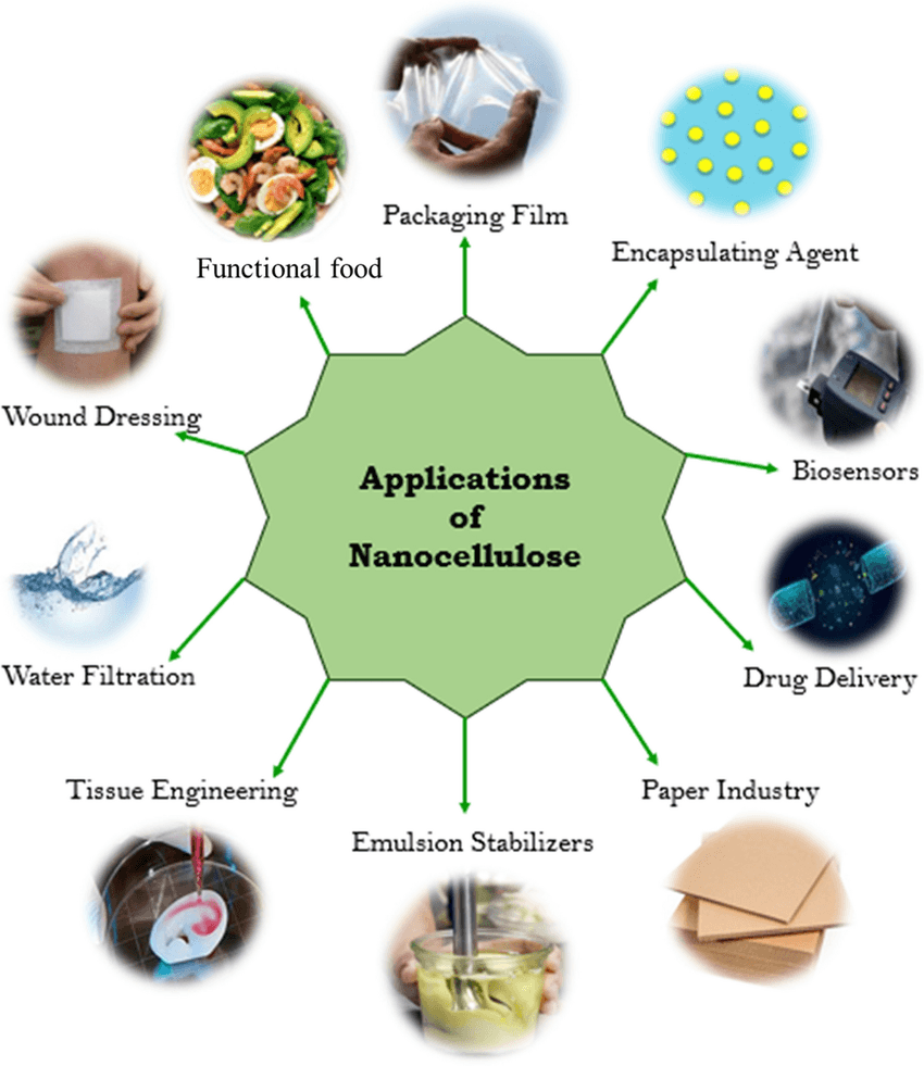 Nanocellulose: The Future of Sustainable Materials in Modern Industry ...