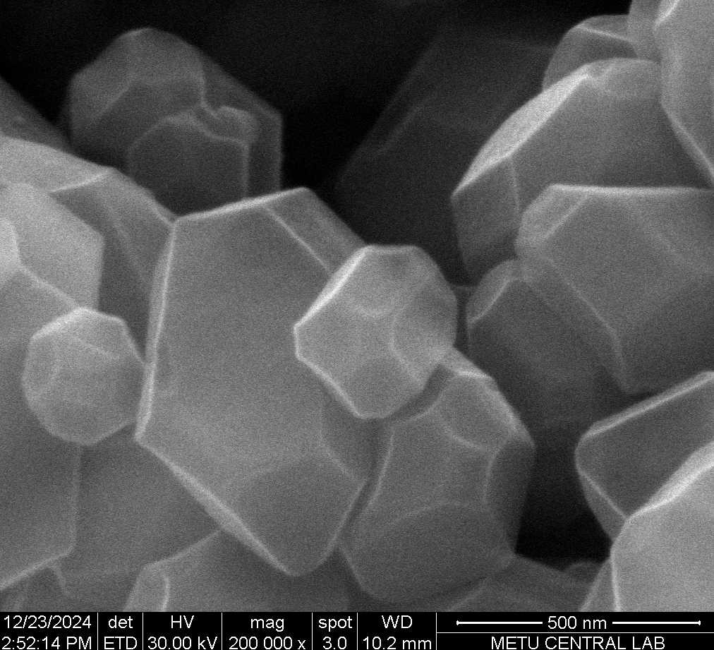 ZIF-8 in Bone Tissue Engineering: How a Popular MOF Is Shaping the ...