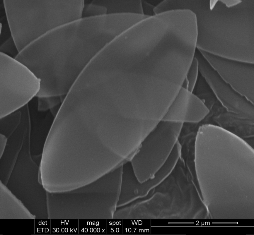 Leaf-Like ZIF-L: A 2D MOF Catalyst for Ultrahigh-Molecular-Weight PMMA ...