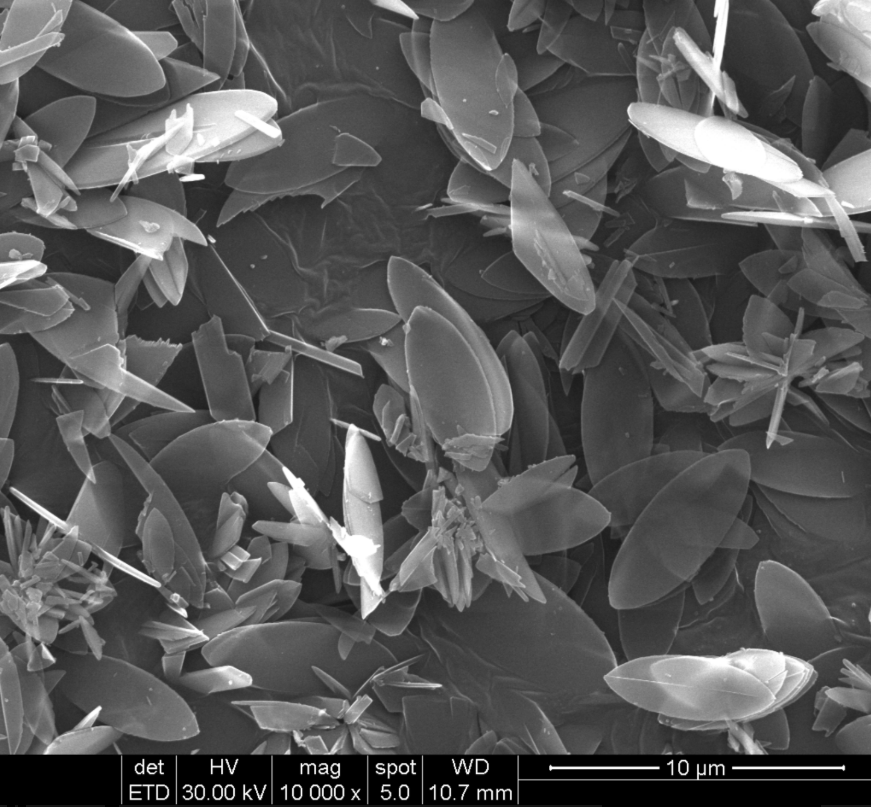 Zeolitic Imidazolate Framework-L (ZIF-L) – Layered Zinc-Based Metal ...